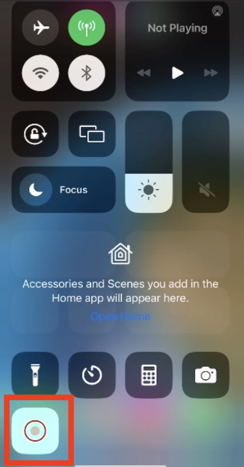 How to Screen Record on iPhone with 3 Easy Methods - Pttrns