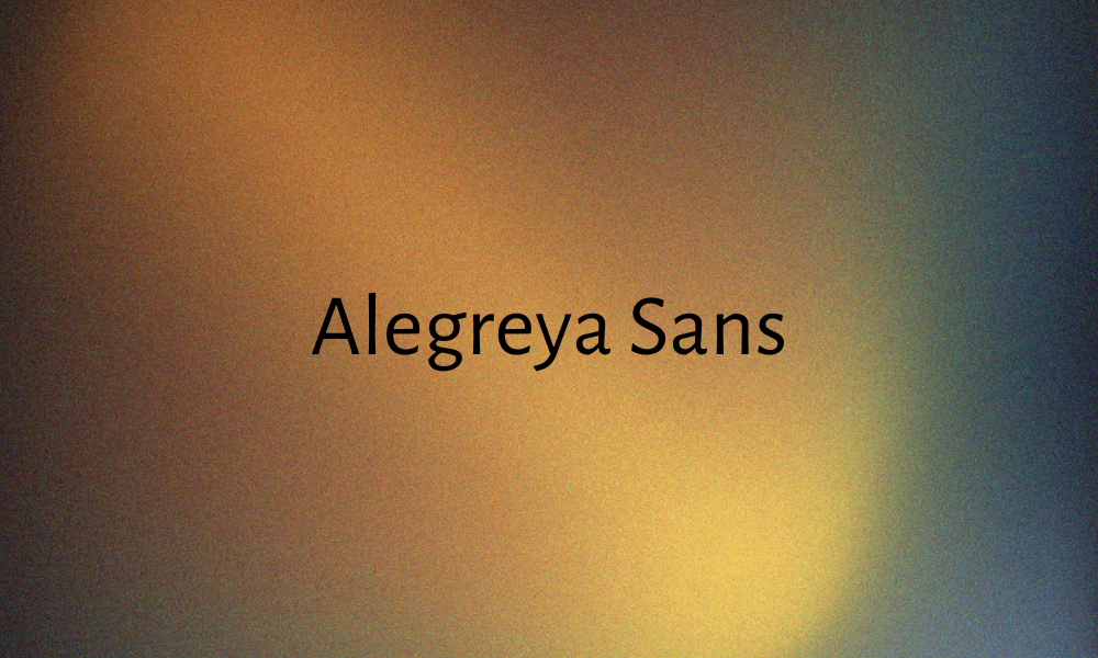 17 Best Sans Serif Fonts in Canva for a Clean & Modern Look Designs ...