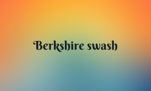 15 Must-Have Signature Fonts for Professional Word Users - Pttrns