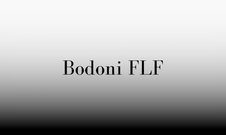 13 Stylish Vogue Fonts on Canva - Pttrns