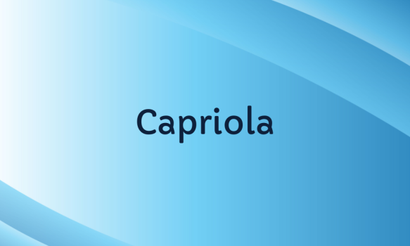 15 Fonts You Must Upload to Canva for Stunning Designs - Pttrns