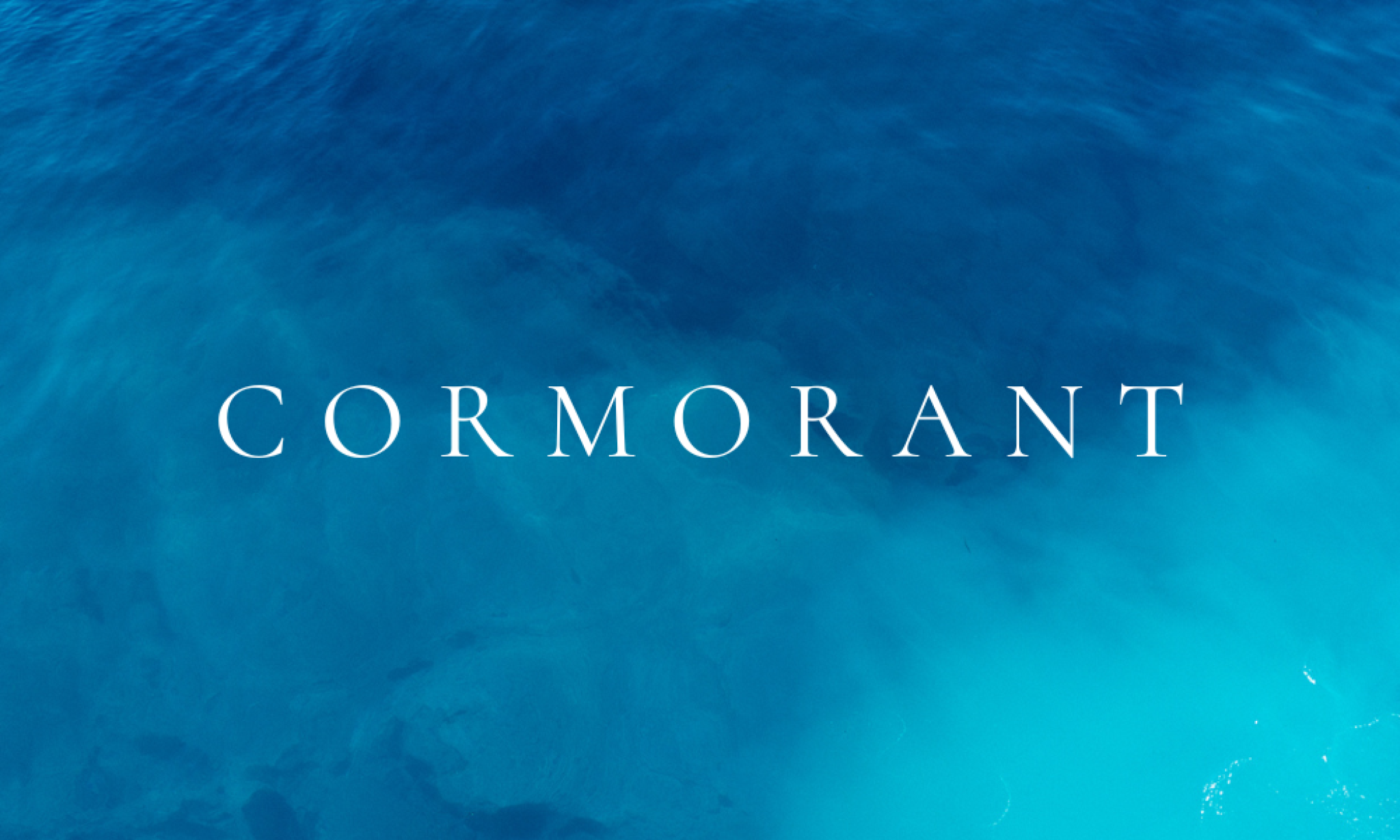 15 Essential Calm Fonts for Stress-Free Website Design - Pttrns