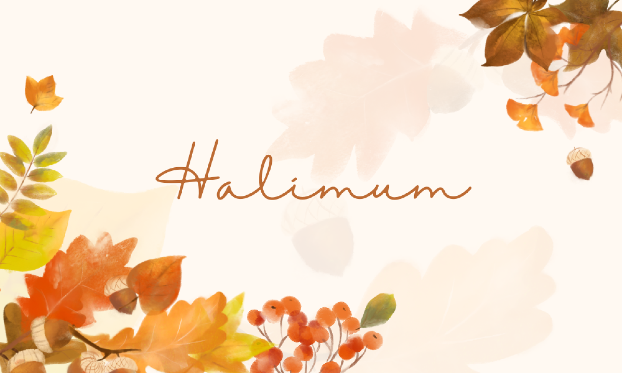 20 Warm and Cozy Fall Fonts to Spice Up Your Designs on Canva - Pttrns