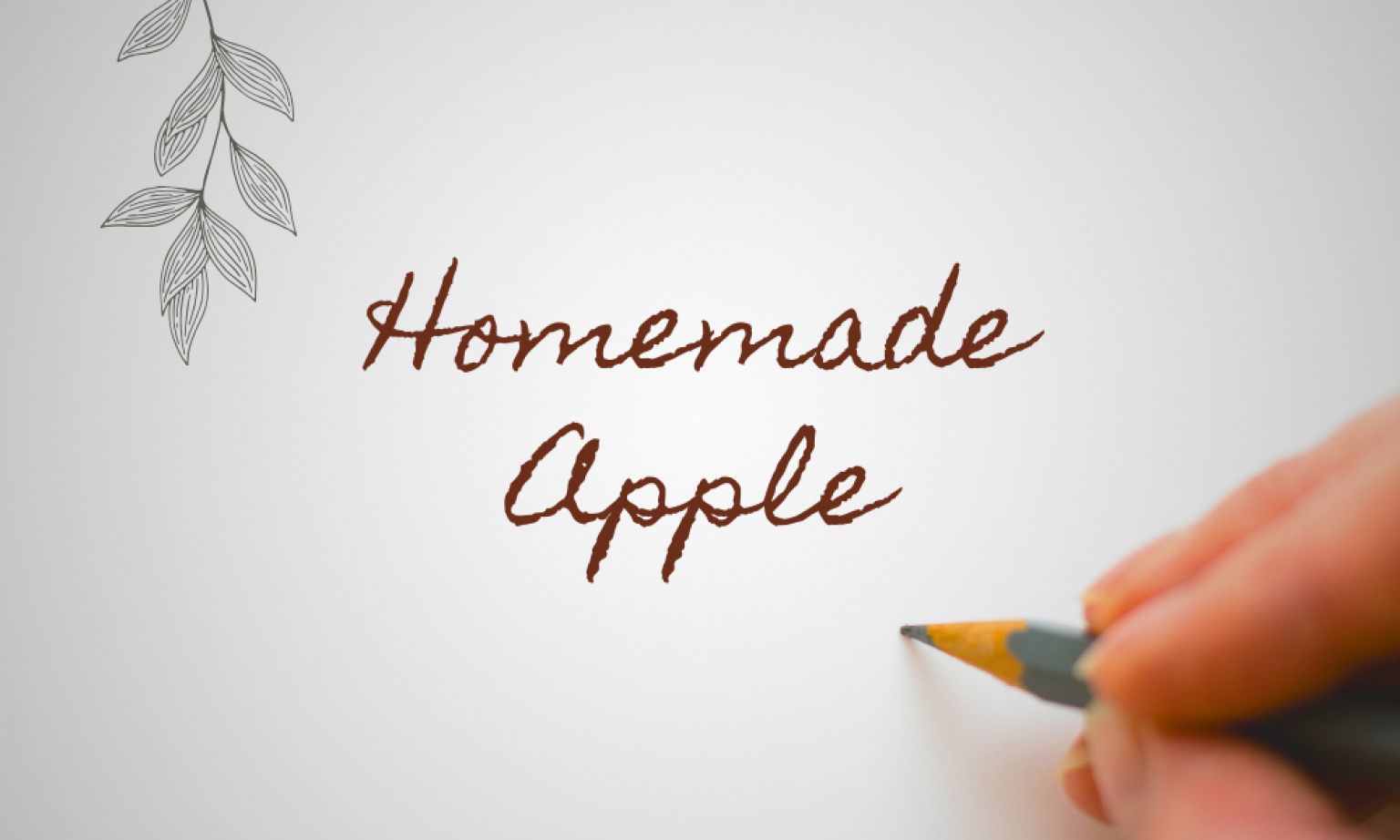 15 Handwriting Fonts in Word to Make Your Documents Stand Out - Pttrns