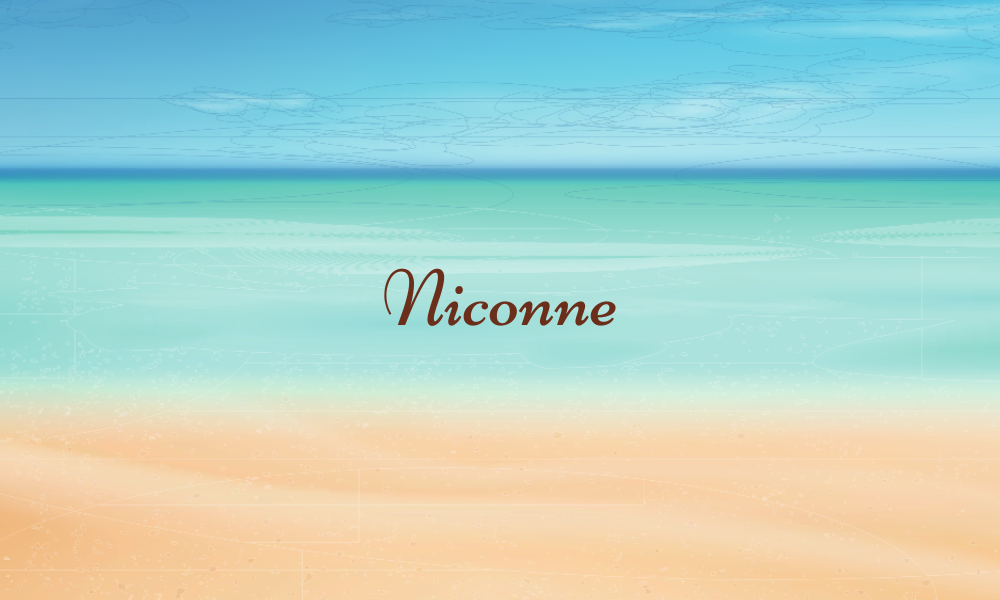 17 Beachy Canva Fonts for Coastal-Themed Projects - Pttrns