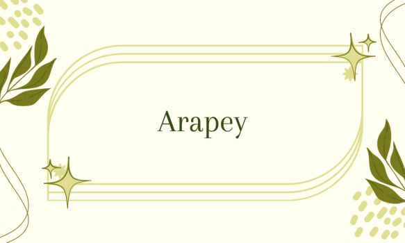 15 Must-Try Serif Fonts to Elevate Your Word Documents - Pttrns