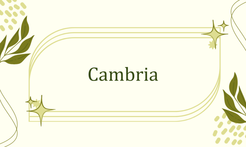 15 Must-Try Serif Fonts to Elevate Your Word Documents - Pttrns