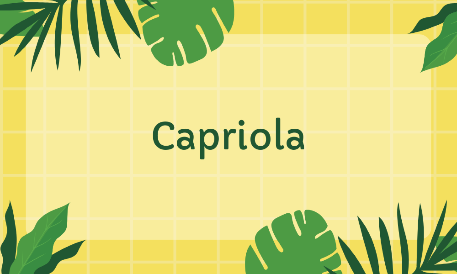 20 Best Rounded Fonts for a Friendly Feel in Your Projects - Pttrns
