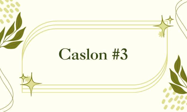 15 Must-Try Serif Fonts to Elevate Your Word Documents - Pttrns