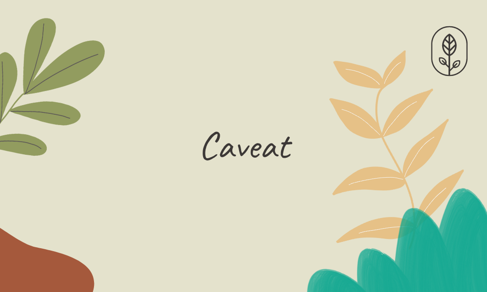 20 Friendliest Fonts for Inviting Designs - Pttrns