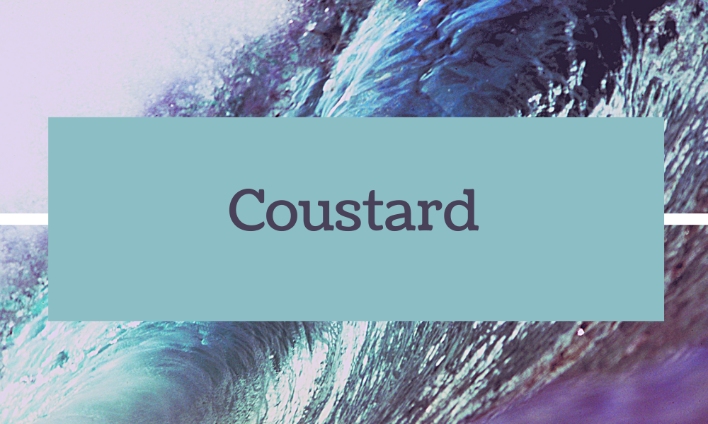 20 Timeless Fonts for Book Cover That Attract More Readers - Pttrns