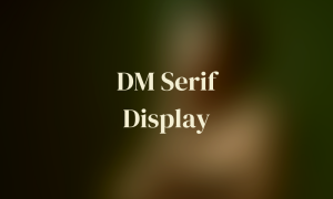 20 Best Serif Fonts for Timeless Designs on Canva - Pttrns