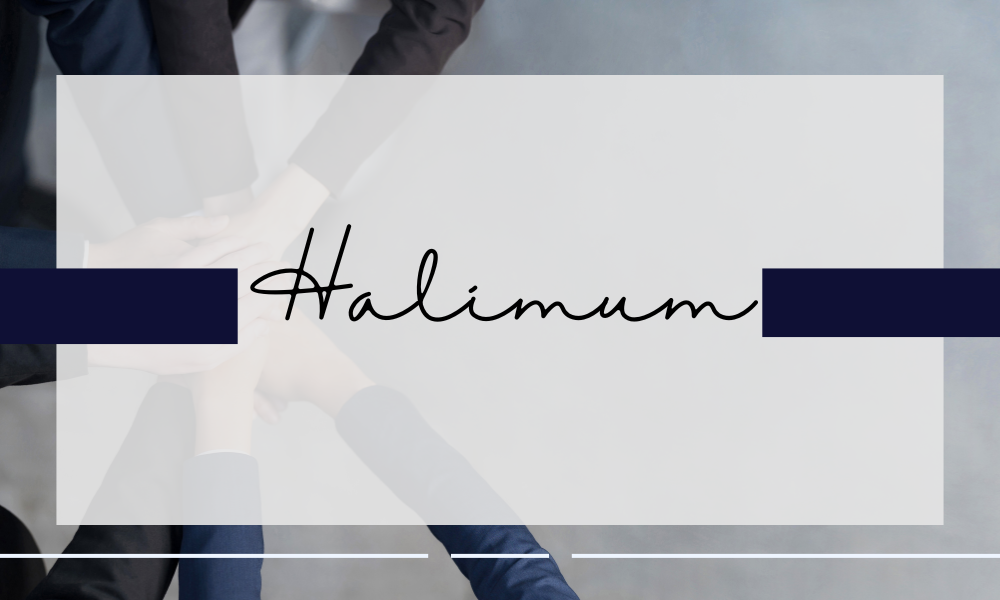 18 Must-Try Canva Signature Fonts to Boost Your Branding - Pttrns