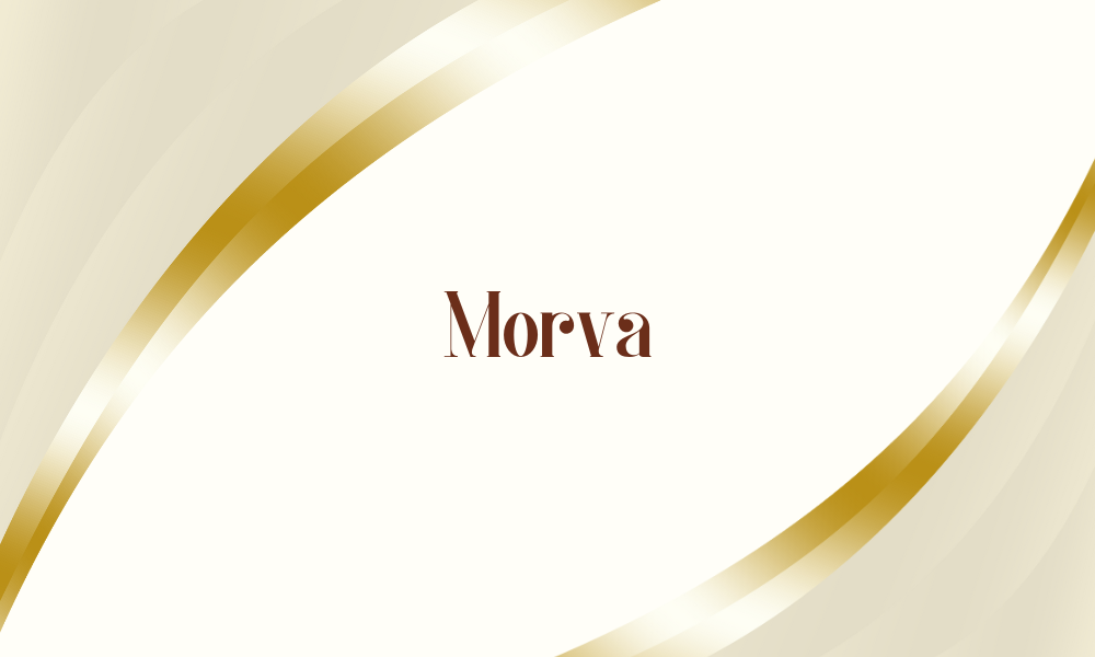 18 Fonts Similar to Garamond for Elegant Touch - Pttrns