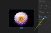 How To Change Opacity in Figma - Pttrns