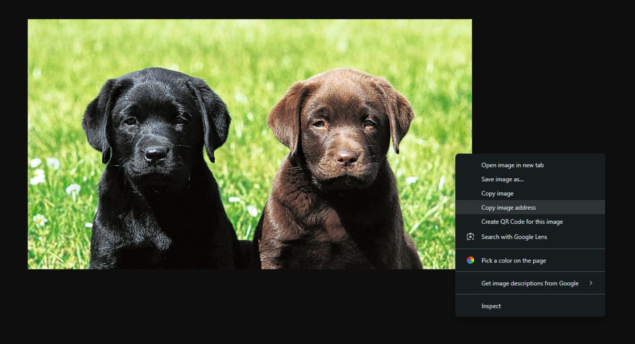 How To Send Images on Character.AI - Pttrns