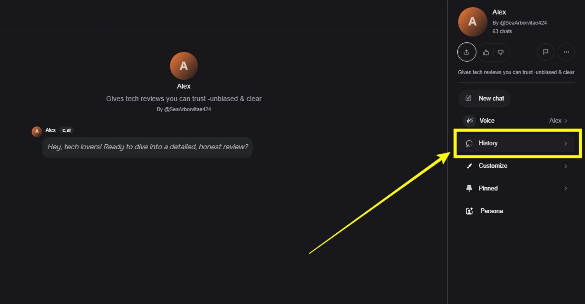 How To Delete Saved Chats on Character.AI - Pttrns